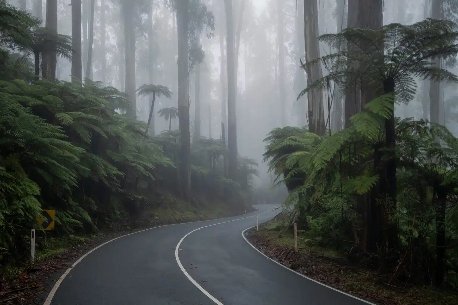 The Best Scenic Drives in Australia