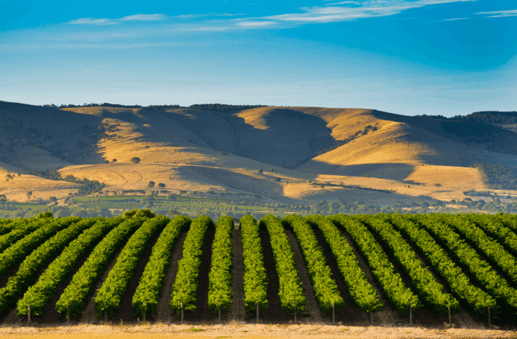 Fleurieu Peninsula: Everything You Need to Know